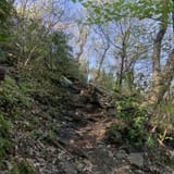 Three Ridges Loop via Appalachian Trail and Mau-Har Trail, Virginia ...