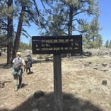 Sycamore Rim Trail, Arizona - 356 Reviews, Map | AllTrails