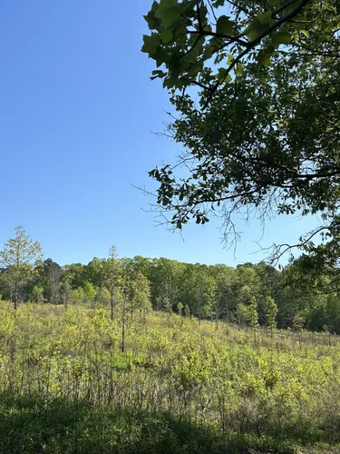 Best 10 Hikes and Trails in Latta Nature Preserve | AllTrails