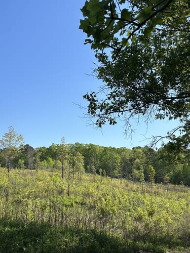 Best 10 Hikes and Trails in Latta Nature Preserve | AllTrails