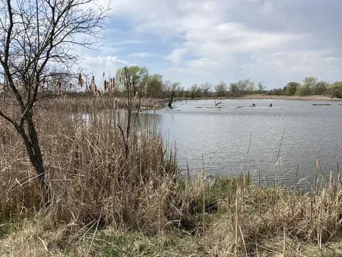 Best Hikes and Trails in Forest Preserves of Cook County | AllTrails