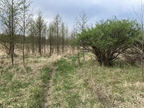 Best Hikes and Trails in Forest Preserves of Cook County | AllTrails