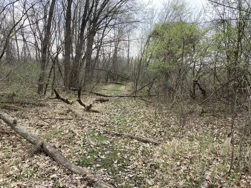 Best Hikes and Trails in Forest Preserves of Cook County | AllTrails