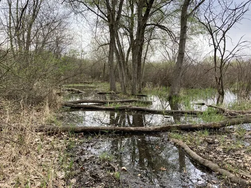 Best Hikes and Trails in Forest Preserves of Cook County | AllTrails
