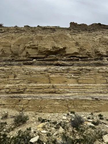 Best Hikes and Trails in Hanford Reach National Monument | AllTrails