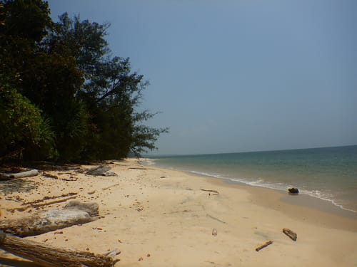 Best Hikes and Trails in Taman Negara Similajau | AllTrails