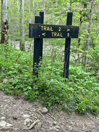 2023 Best Views Trails in Clifty Falls State Park | AllTrails
