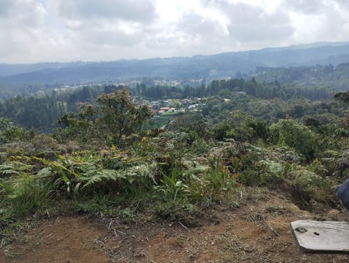 Best 10 Hikes and Trails in Parque Arví | AllTrails