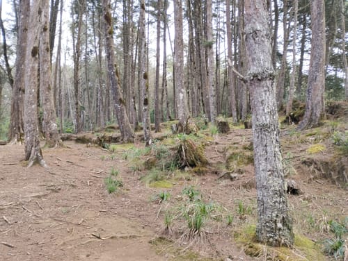 Best 10 Hikes and Trails in Parque Arví | AllTrails