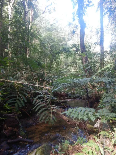 Best Short Trails in Long Lama | AllTrails