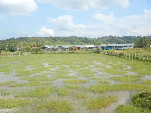 Best Short Trails in Long Lama | AllTrails