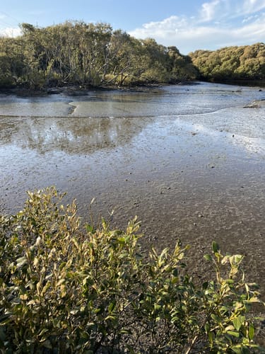 Best Hikes and Trails in Riverwood | AllTrails