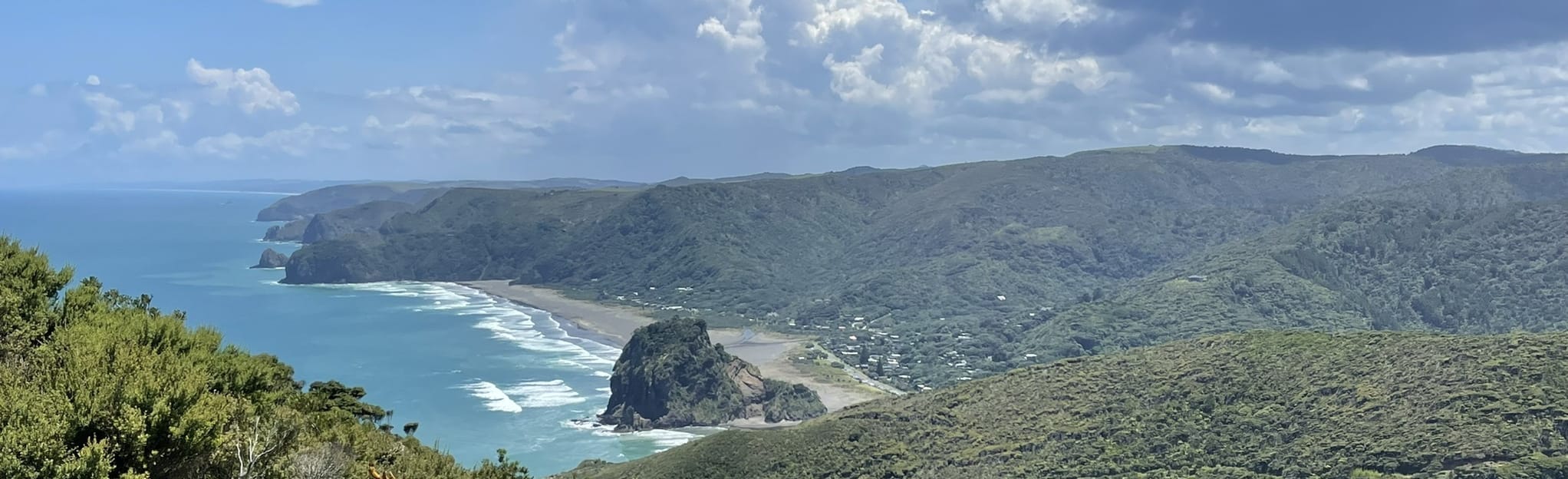 Mercer Bay Loop Track [CLOSED]: 348 Reviews, Map - Auckland, New ...