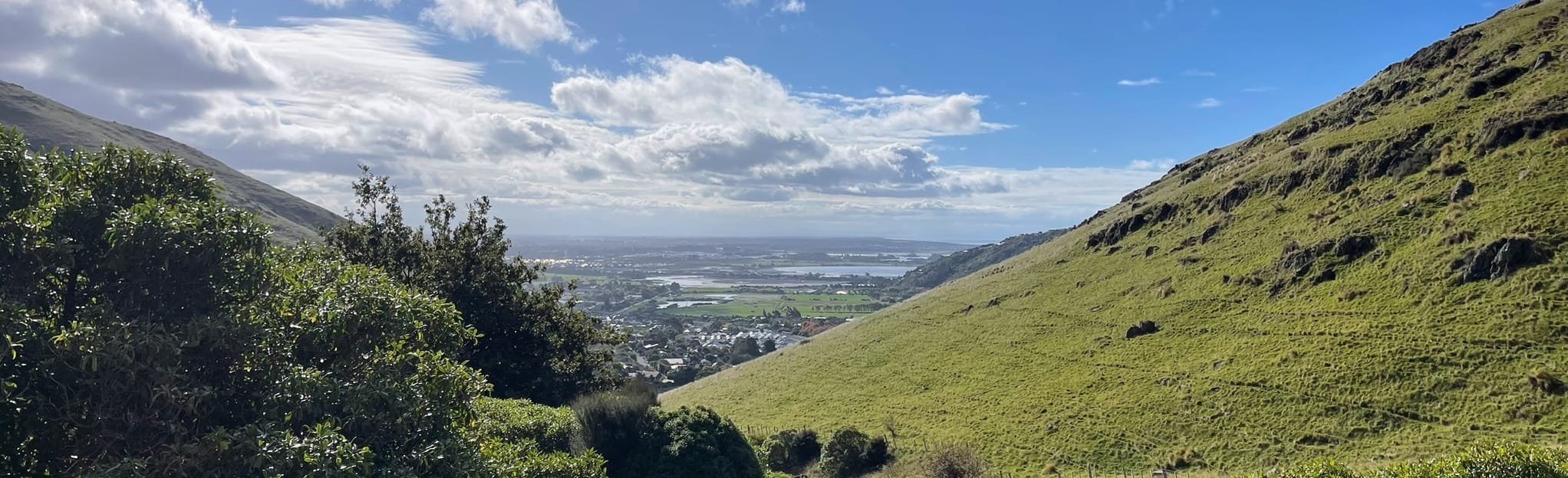 Bridle Path Track: 164 Reviews, Map - Canterbury, New Zealand | AllTrails