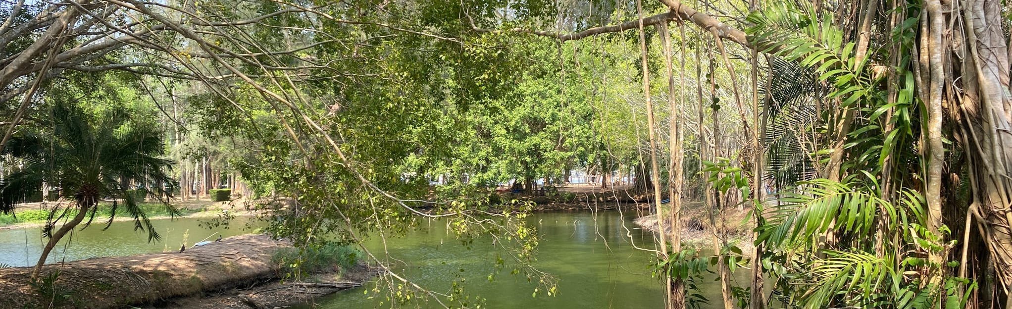 Thara Park Loop: 1 Reviews, Map - Krabi, Thailand | AllTrails