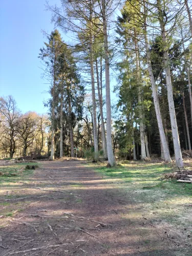 Best Hikes and Trails in Scone Recreation Park | AllTrails