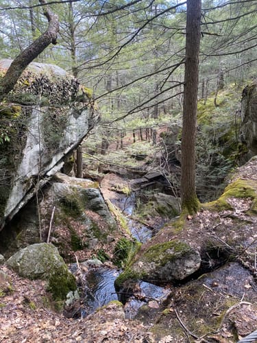 Best Hikes and Trails in Pulpit Rock Conservation Area | AllTrails