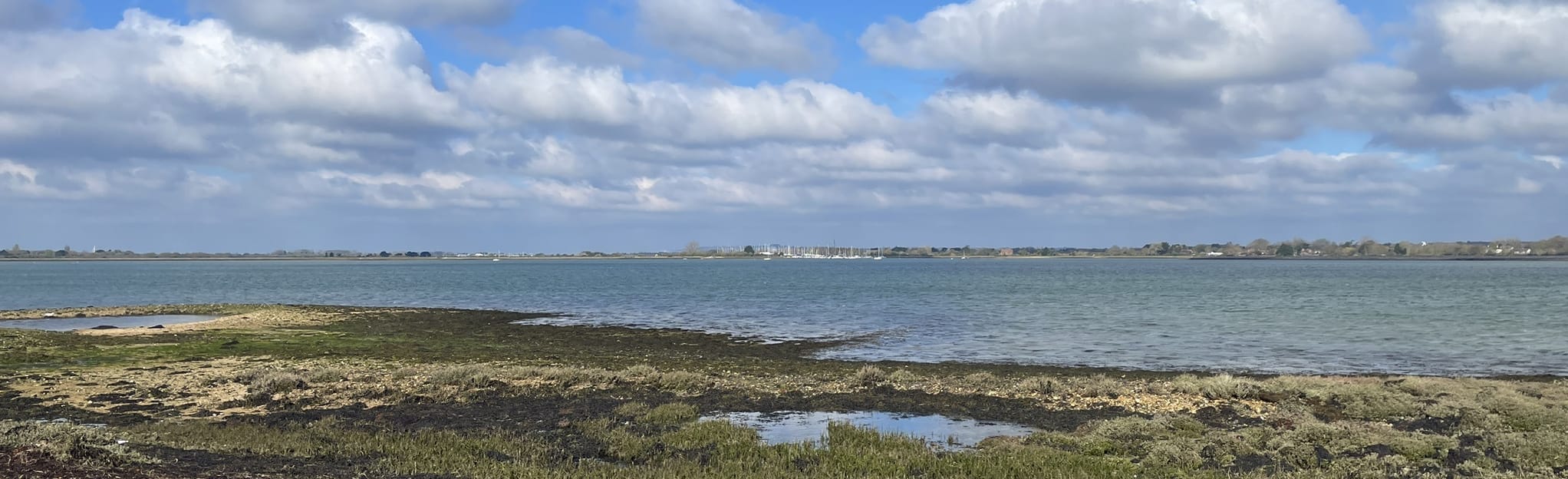 Chidham Peninsula Coastal Circular: 145 Reviews, Map - West Sussex ...