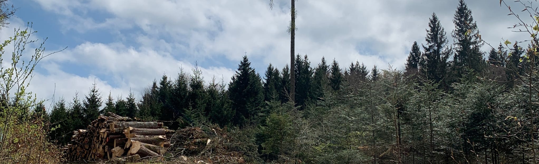 Liebefeld - Könizberg: 15 foto's - Bern, Zwitserland | Wandelen - AllTrails