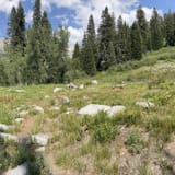 Cold Springs Nature Trail, California - 62 Reviews, Map | AllTrails