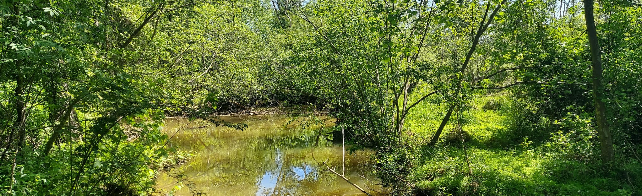 Lake Conestee Nature Park West Loop: 139 Reviews, Map - South Carolina ...
