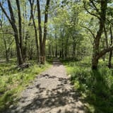Bristow Broad Run Trail , Virginia - 390 Reviews, Map | AllTrails