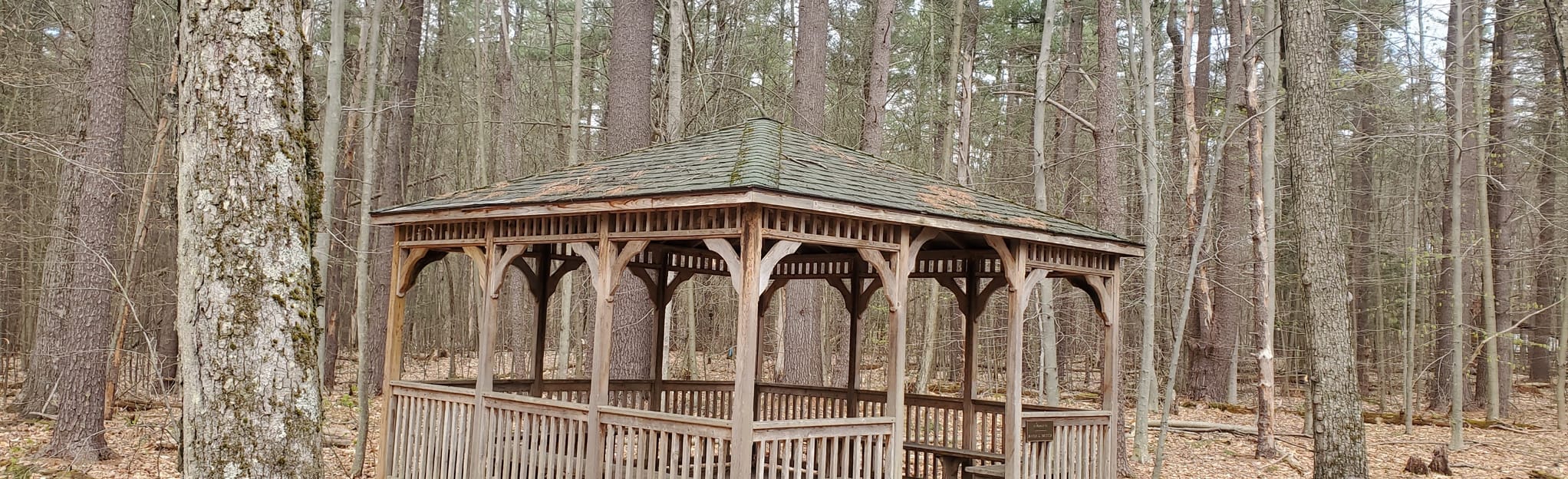 Luther Forest Mountain Bike Trail , New York - 250 Reviews, Map | AllTrails