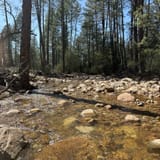 Pyeatt Draw OHV Trail , Arizona - 84 Reviews, Map | AllTrails