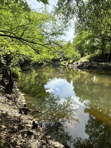 10 Best Hikes and Trails in Withlacoochee State Forest | AllTrails