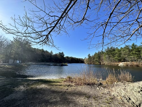 Best 10 Hikes and Trails in Breakheart Reservation | AllTrails