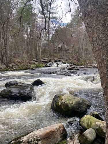 Best Hikes and Trails in Wildcat Falls Conservation Area | AllTrails