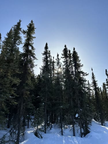 Best Hikes and Trails in Isberg Recreation Area | AllTrails