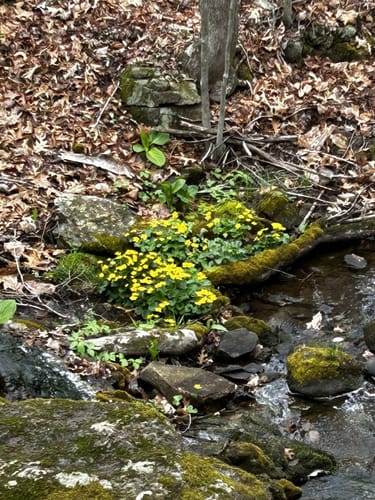 Best Hikes and Trails in Bittner Park | AllTrails