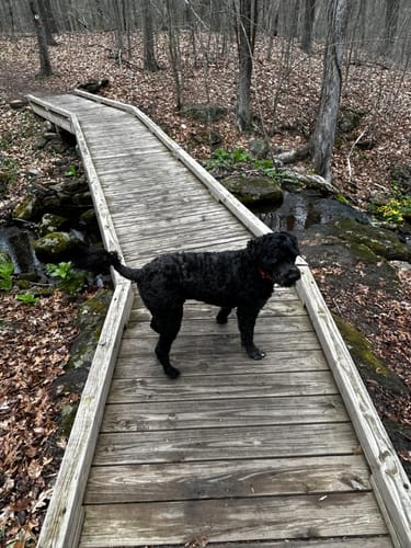 Best Hikes and Trails in Bittner Park | AllTrails