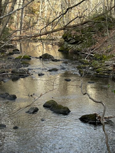 Best Hikes and Trails in Bittner Park | AllTrails