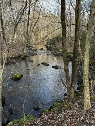 Best Hikes and Trails in Bittner Park | AllTrails