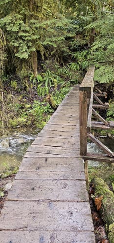 Best Hikes and Trails in Cowichan River Provincial Park | AllTrails