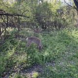Kinder Farm Park Trail, Maryland - 1,180 Reviews, Map | AllTrails