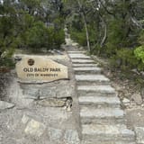 Old Baldy Trail, Texas - 185 Reviews, Map | AllTrails