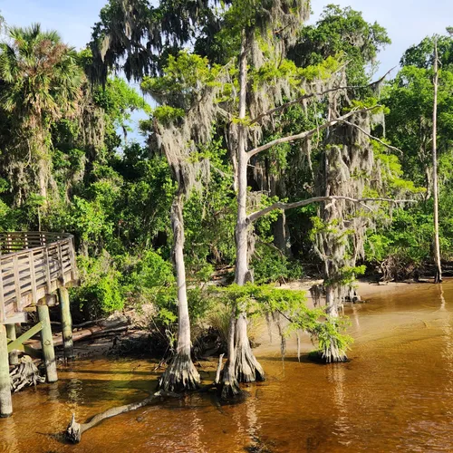 Best Hikes and Trails in Alpine Groves Park | AllTrails