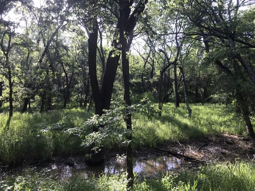 2023 Best Bird Watching Trails in Hagerman National Wildlife Refuge ...