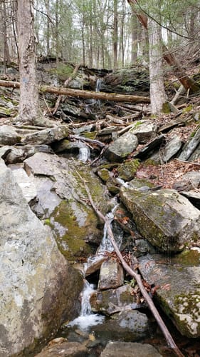 2023 Best Kid Friendly Trails in Wendell State Forest | AllTrails