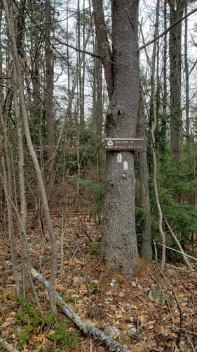 2023 Best Kid Friendly Trails in Wendell State Forest | AllTrails