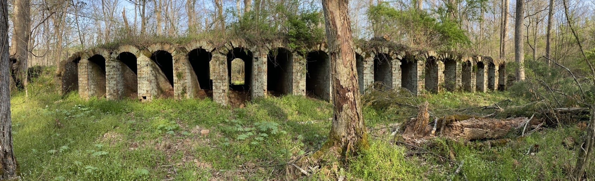 Pine Run Trail to Vinton Iron Furnace, Ohio - 62 Reviews, Map | AllTrails