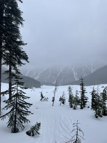 2023 Best Camping Trails in Mount Currie | AllTrails