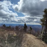 Mount Shaw and Black Snout, New Hampshire - 554 Reviews, Map | AllTrails
