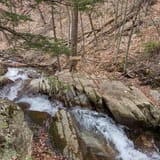 Mount Shaw and Black Snout, New Hampshire - 554 Reviews, Map | AllTrails