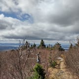 Mount Shaw and Black Snout, New Hampshire - 554 Reviews, Map | AllTrails