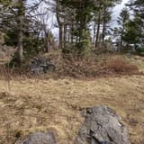 Mount Shaw and Black Snout, New Hampshire - 554 Reviews, Map | AllTrails