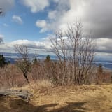 Mount Shaw and Black Snout, New Hampshire - 554 Reviews, Map | AllTrails